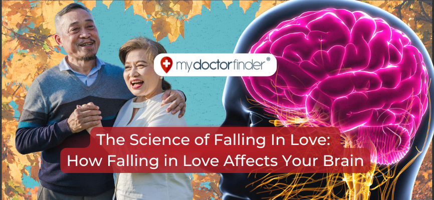 The Science of Falling In Love: How Falling in Love Affects Your Brain